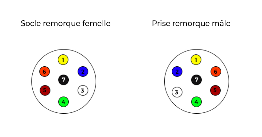 Prise remorque Mâle 12V - Connexion : Vis